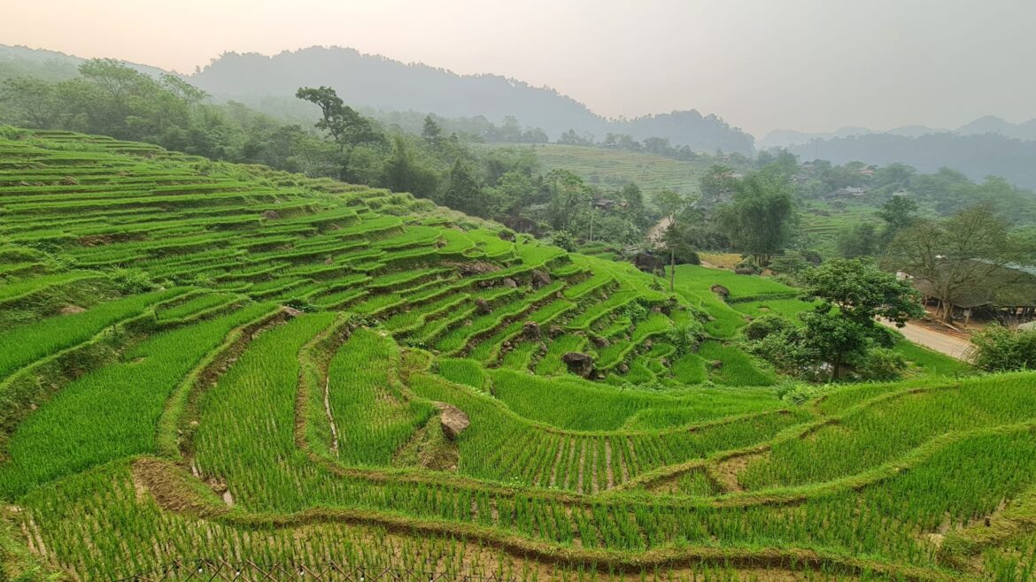 5D4N - Treks in Pu Luong Nature Reserve